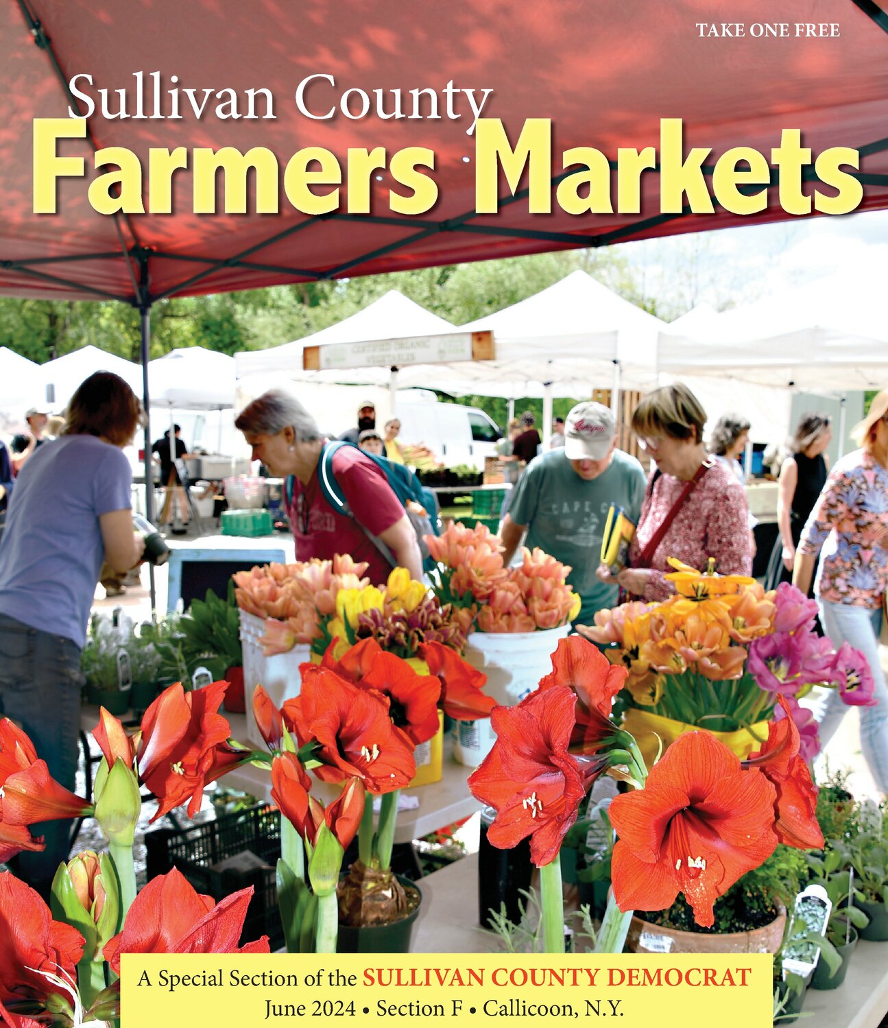 Special sections - Sullivan County Democrat