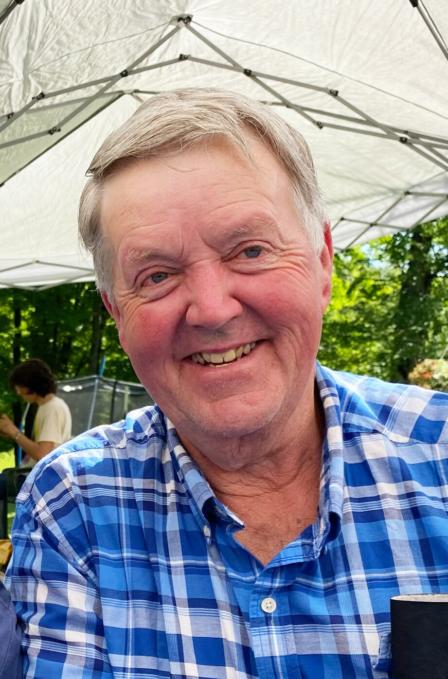Harold D. Wood - Sullivan County Democrat