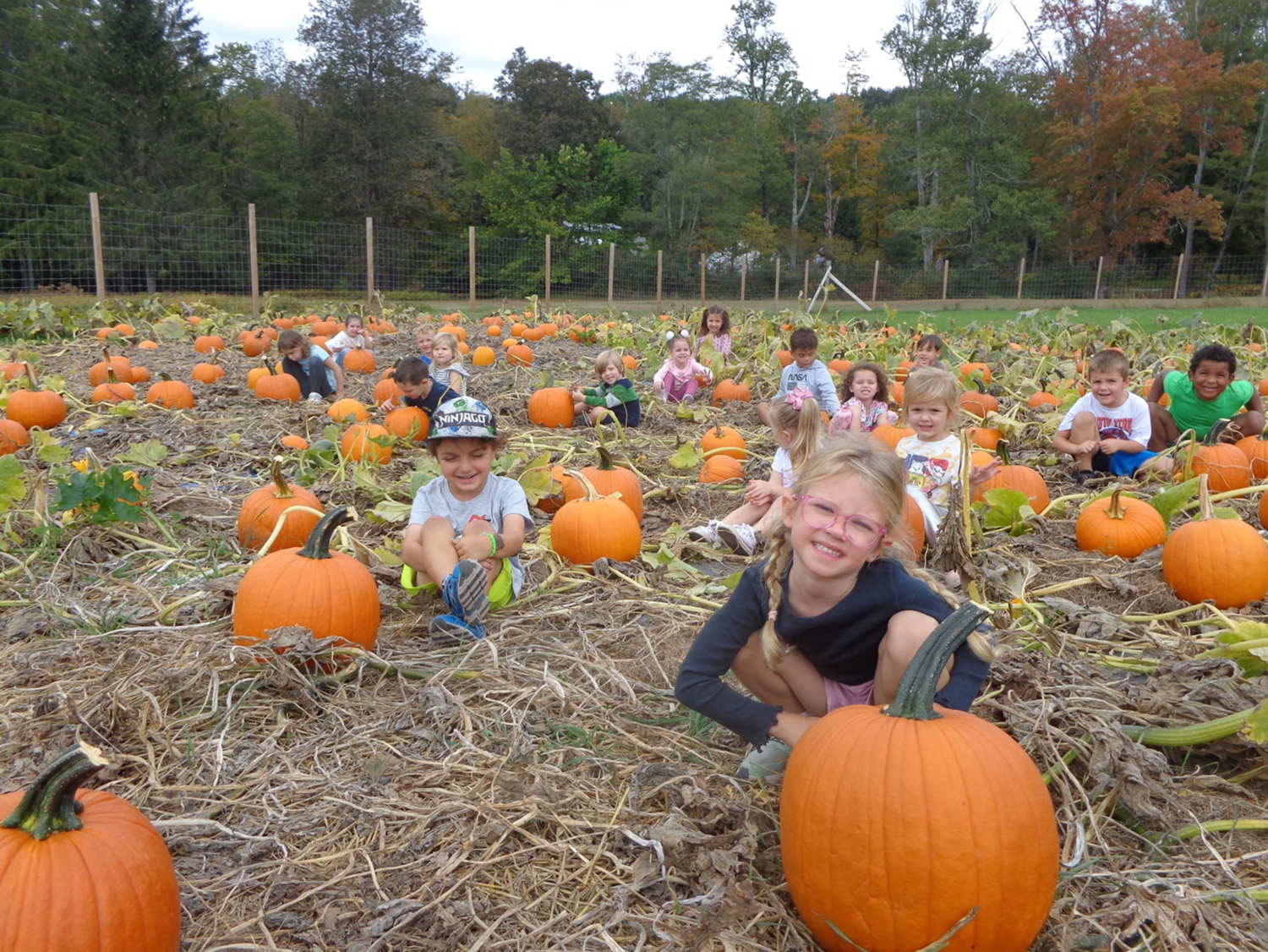 The Homestead School Pumpkin Project - Sullivan County Democrat