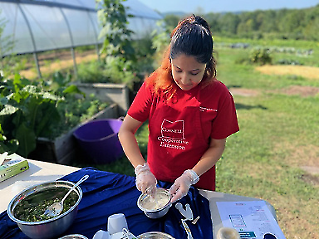 Funding for SNAP nutrition education winds down - Sullivan County Democrat