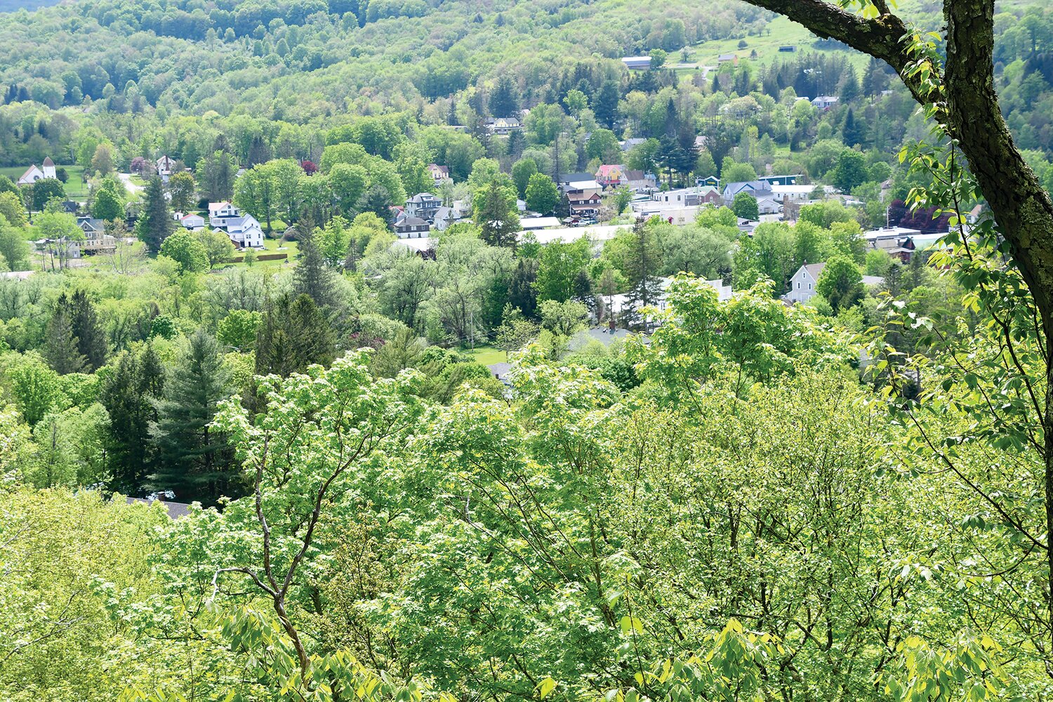 Callicoon and Livingston Manor named among ‘7 Best Small Towns in the ...
