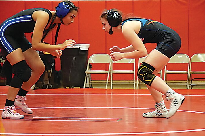 Lady Redhawks host Friday night quad wrestling meet - Sullivan County ...