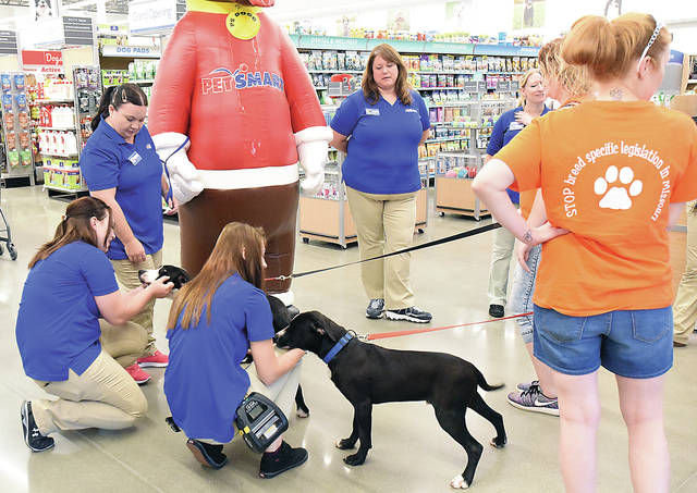 Photos: PetSmart, Dollar General host Saturday grand openings | Sedalia ...