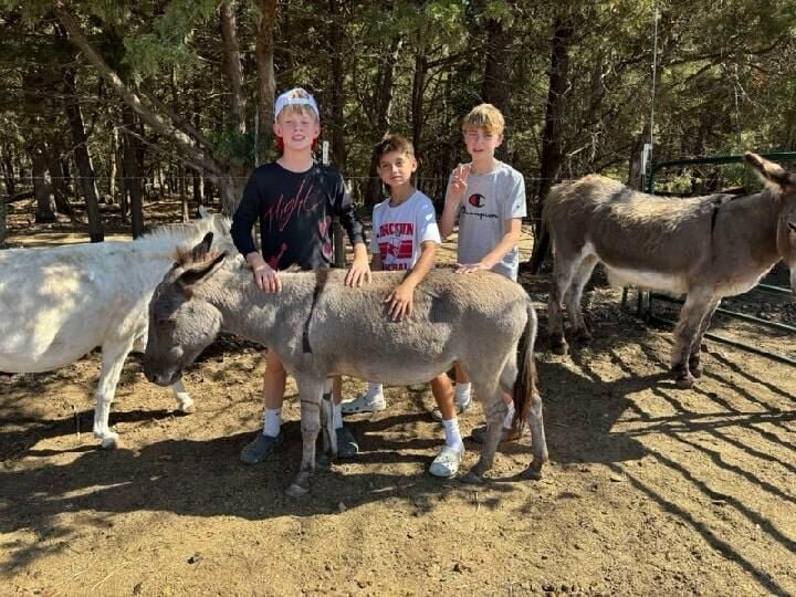 Peaceful Pastures Donkey Rescue holds third annual Donktoberfest ...