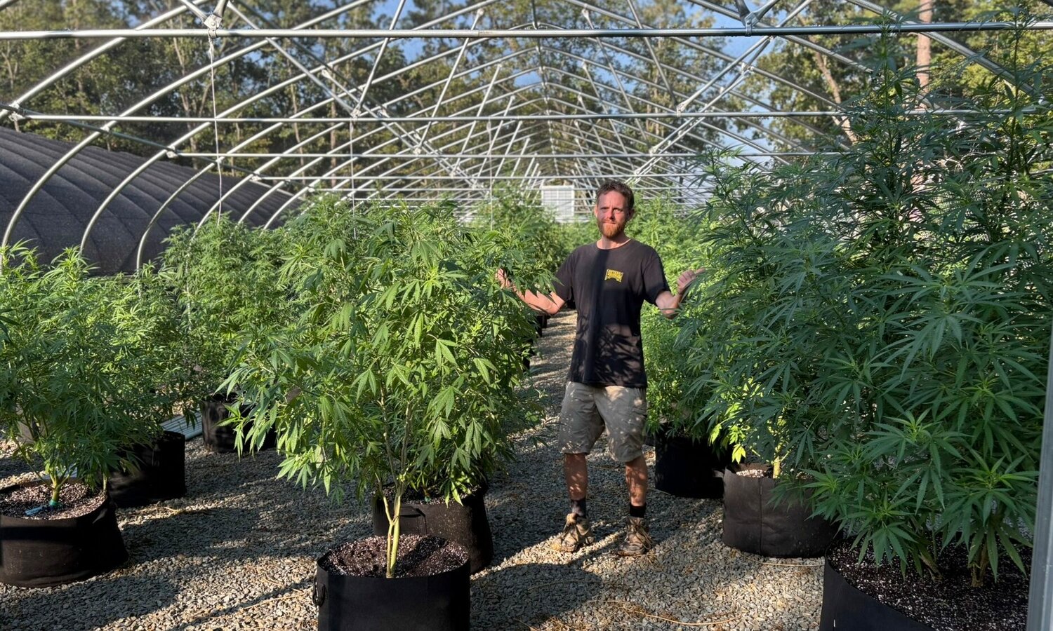 Missouri cannabis regulators prepare final lottery with new rules ...