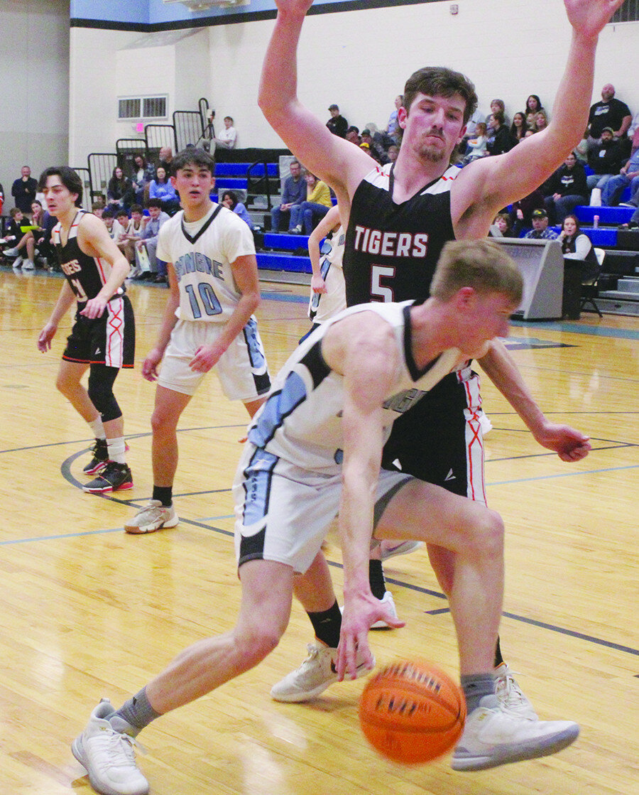 Thunderbirds defeat Tigers in double overtime - The Alamosa News