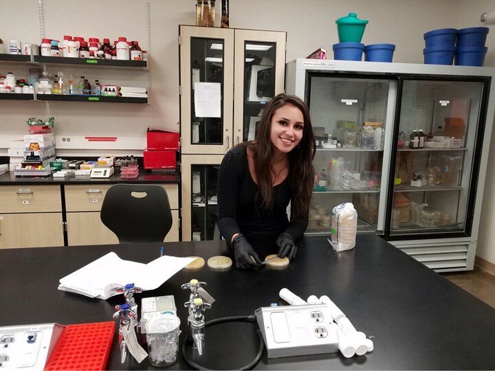 Research at undergraduate level launches students into chosen fields ...