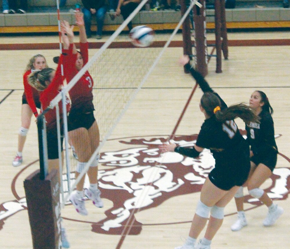 Mean Moose sweep Falcons - The Mineral County Miner