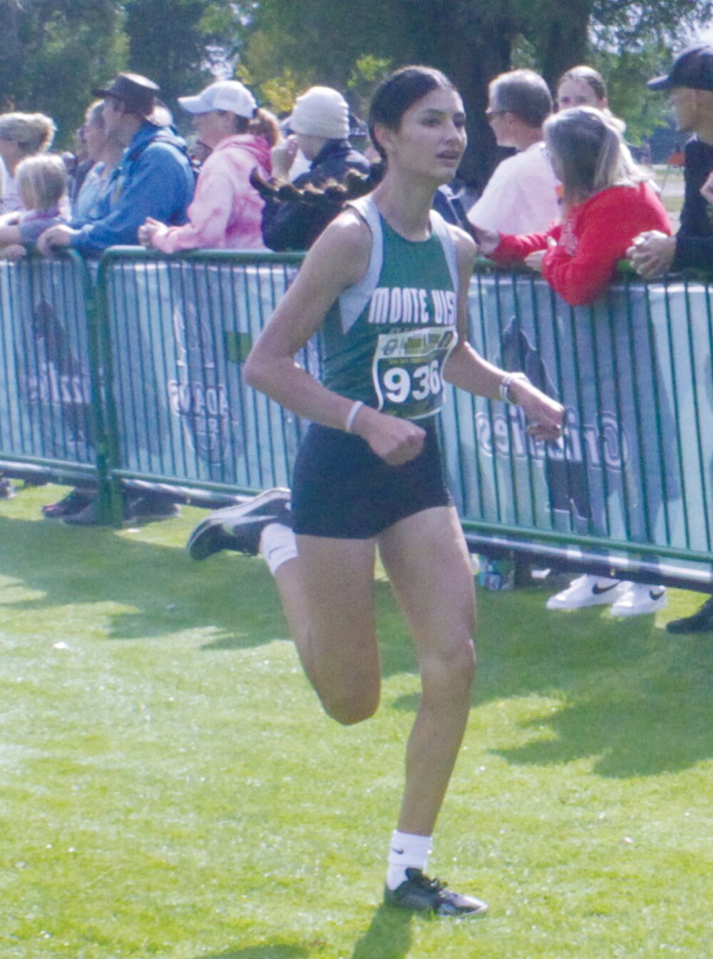 Thirteen SLV cross country runners named All-State - The Alamosa News