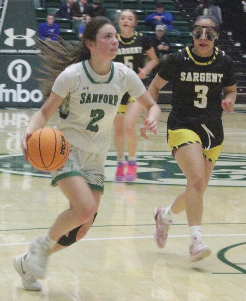 Sargent girls take third, Sanford girls fourth at state - The Alamosa News