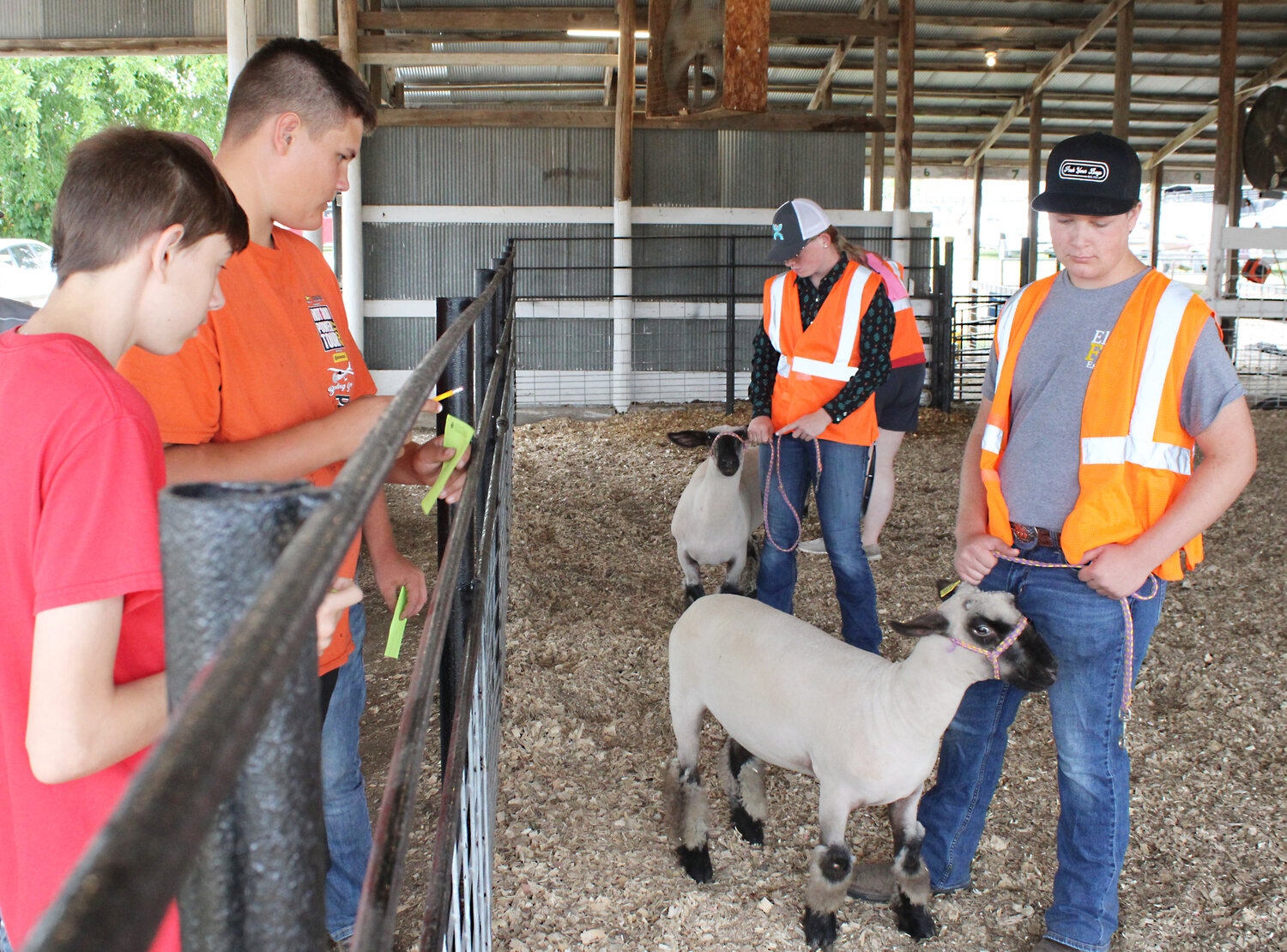 Miller County Fair youth livestock judging - The Lake Sun