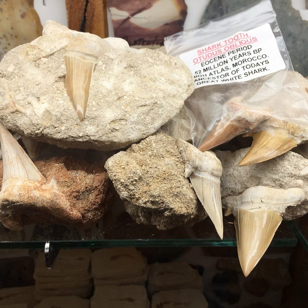 Day Trippin' A Collector’s Dream in Golden, Missouri - The Lake Sun