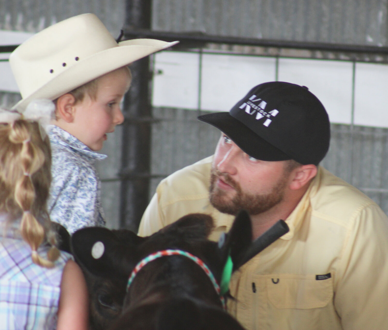 Bottle calves and kids - The Lake Sun